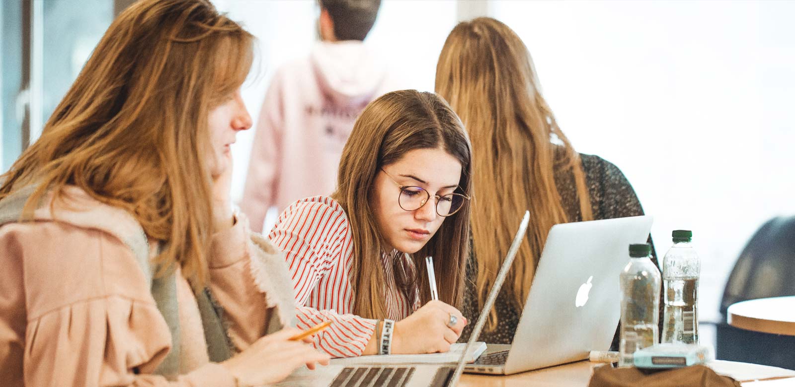 Programmes' details | Excelia