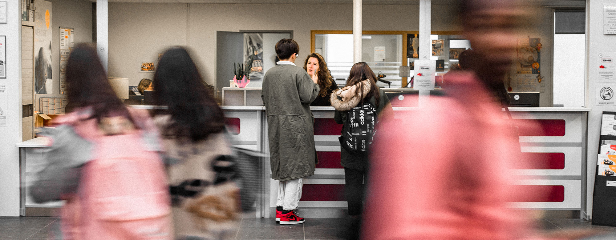 FAQs - International students | Excelia