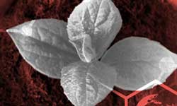 Hot off the press… Excelia’s 2020-2021 CSR Report!| Excelia